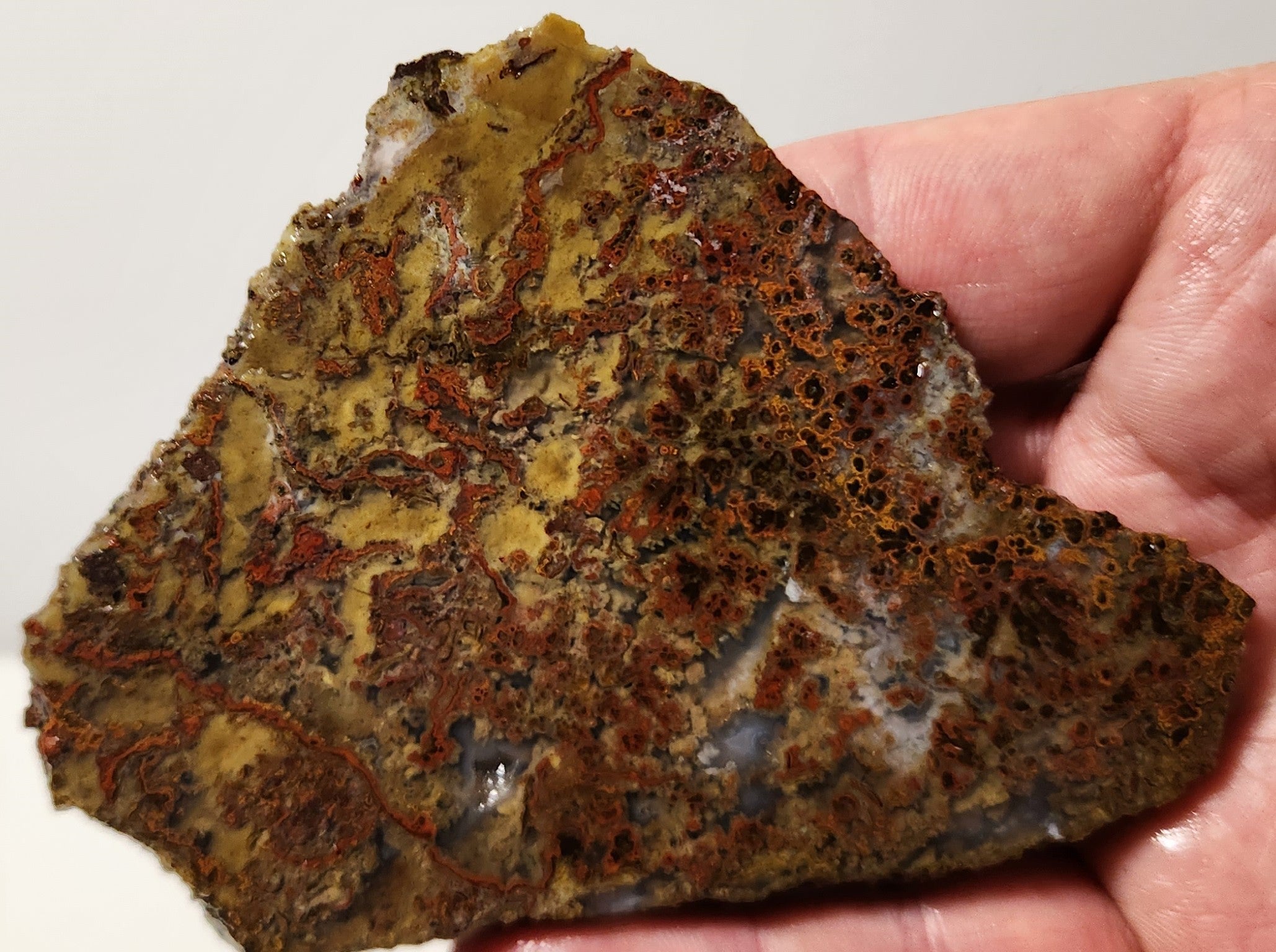 Bloody Basin Plume Agate Slab – AZ Rockhound Expeditions